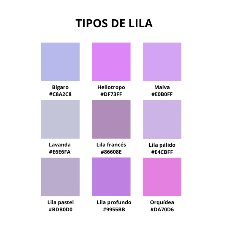 Color lila | Significado y tipos