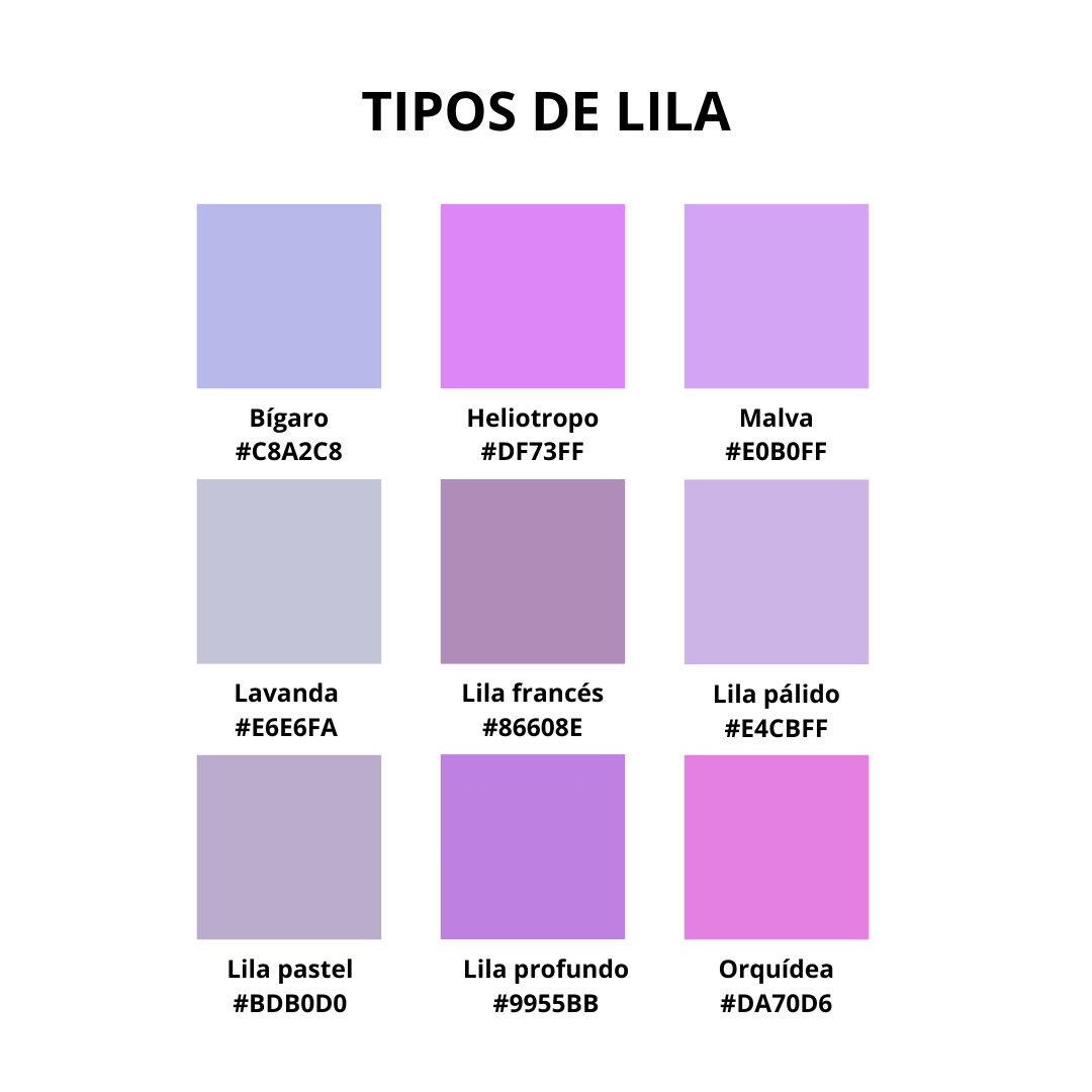 Color lila | Significado y tipos