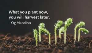 40 Motivational Quotes for Students